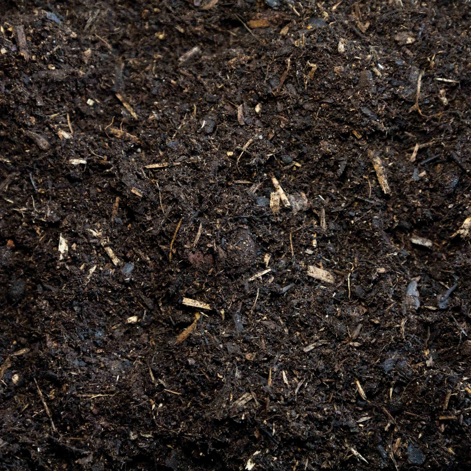 Ericaceous Compost - Free Local Bulk Bag Delivery – Gardenscapedirect
