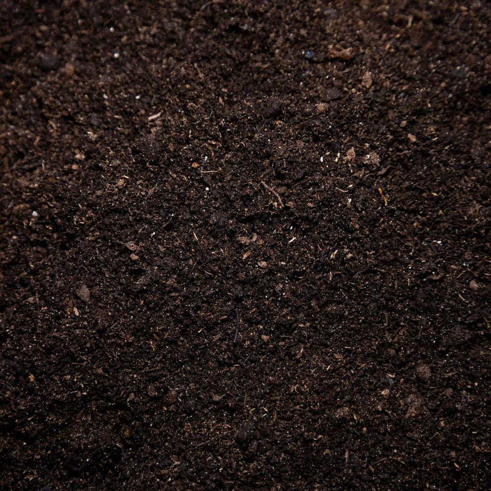 Seed and Cutting Compost - Free Local Bulk Bag Delivery – Gardenscapedirect