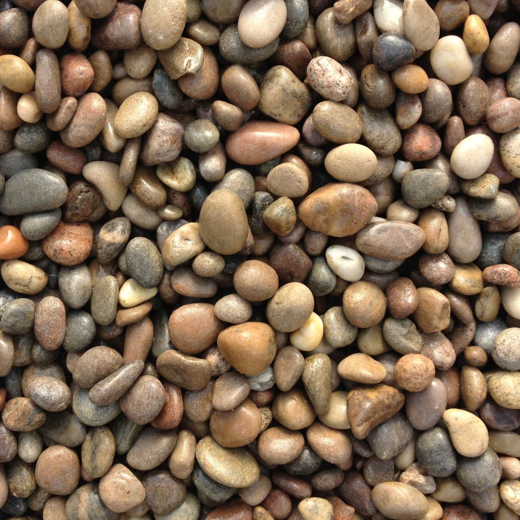 Scottish Pebbles 20-30mm - Free Local Bulk Bag Delivery – Gardenscapedirect